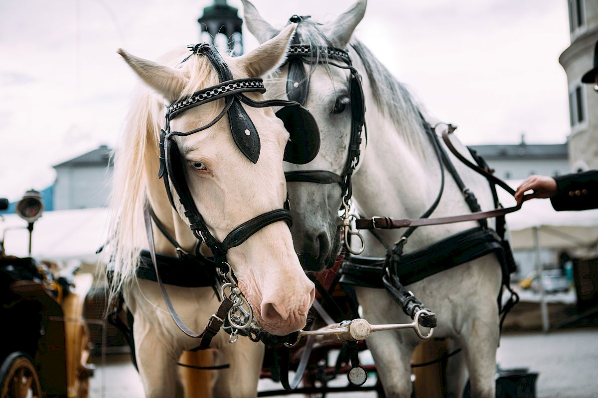 Coaching Weekend | Newport, RI | Wayfinder Newport